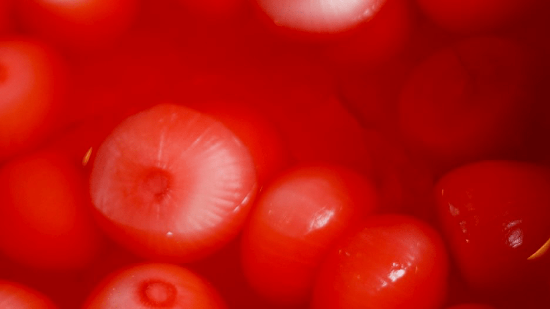 Noticias - Singular Foods