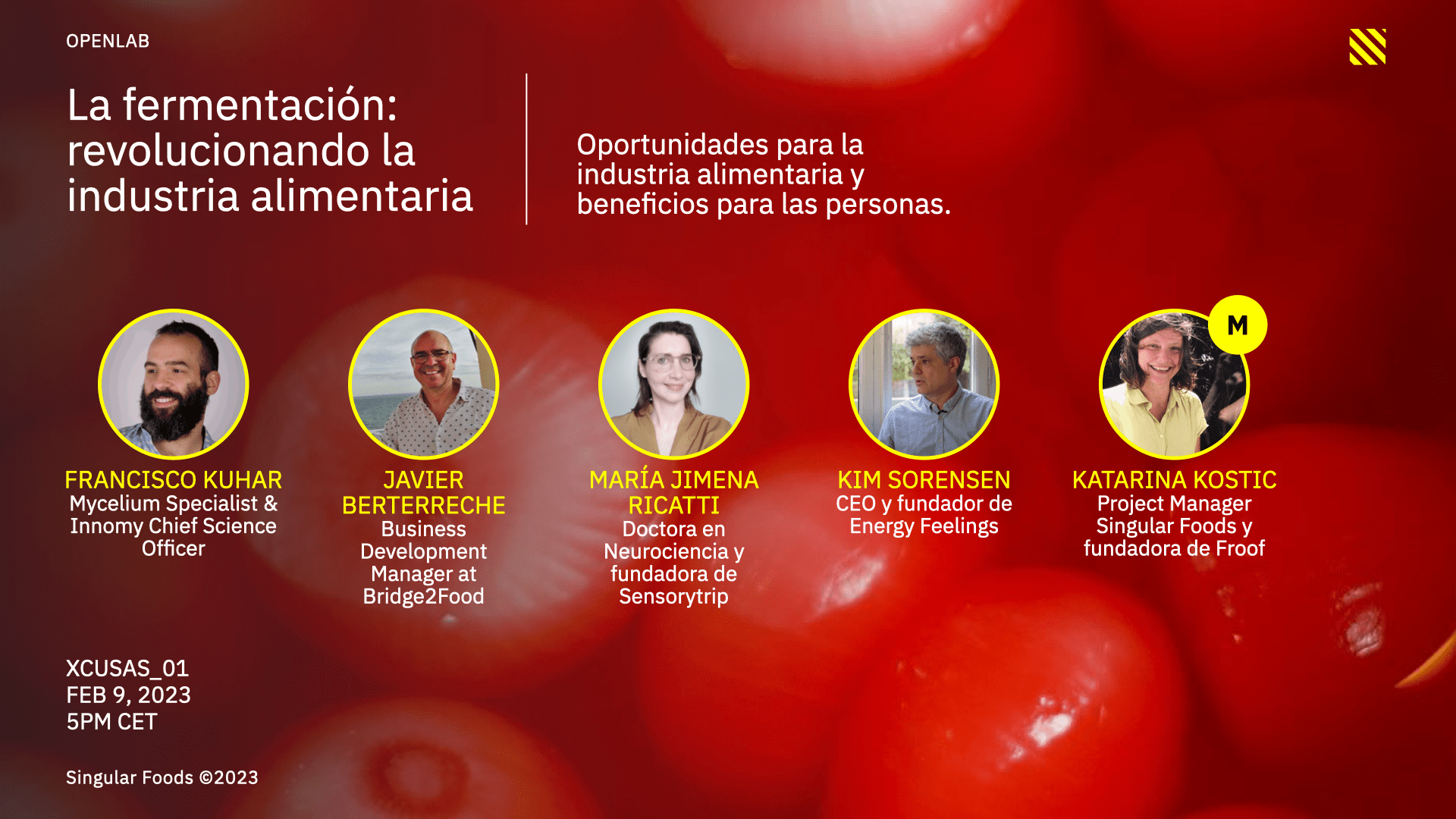 Xcusas_01: Revolucionando la industria alimentaria: la fermentación ...