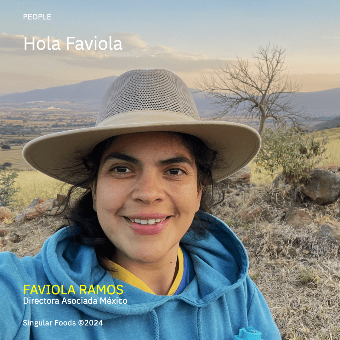 Bienvenida Faviola - Singular Foods