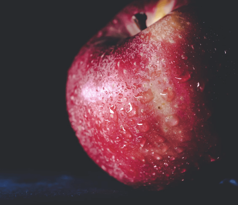 Nuevo ciclo, nueva marca - Singular Foods