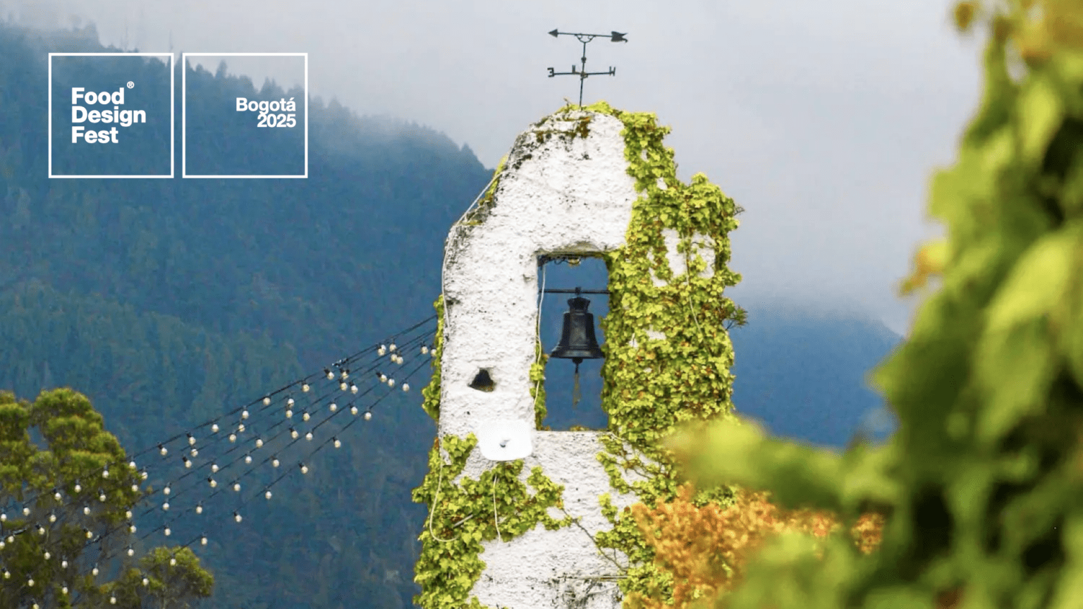 Nuevo ciclo, nueva marca - Singular Foods